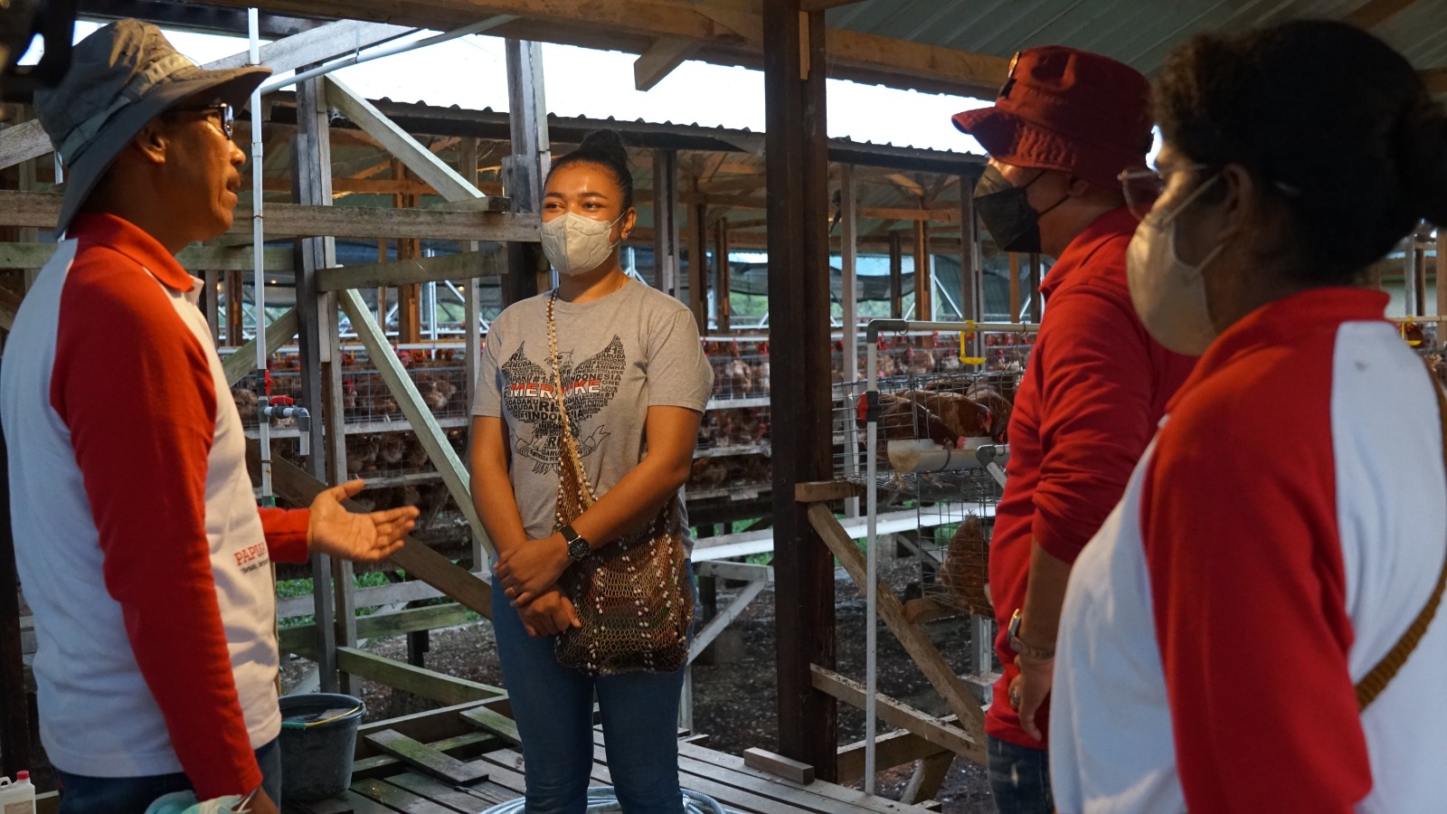 Usaha Peternakan Binaan PYCH Raup Keuntungan Puluhan Juta Per Bulan ...