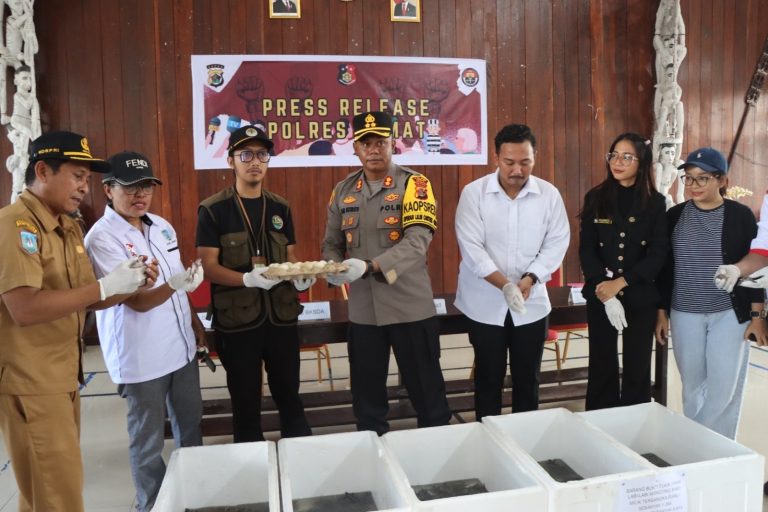 Polda Papua di Asmat Gagalkan Penyelundupan Ribuan Labi-Labi Moncong ...
